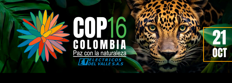 Cableado estructurado de fibra óptica en Cali - Eléctricos del Valle